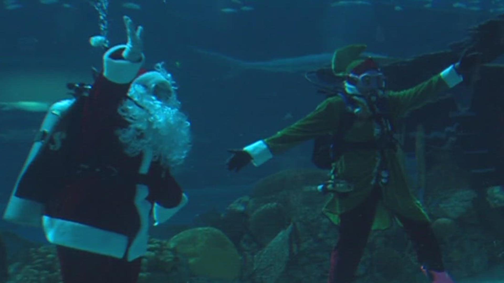 Santa takes his last dive of the season Monday at the Texas State ...