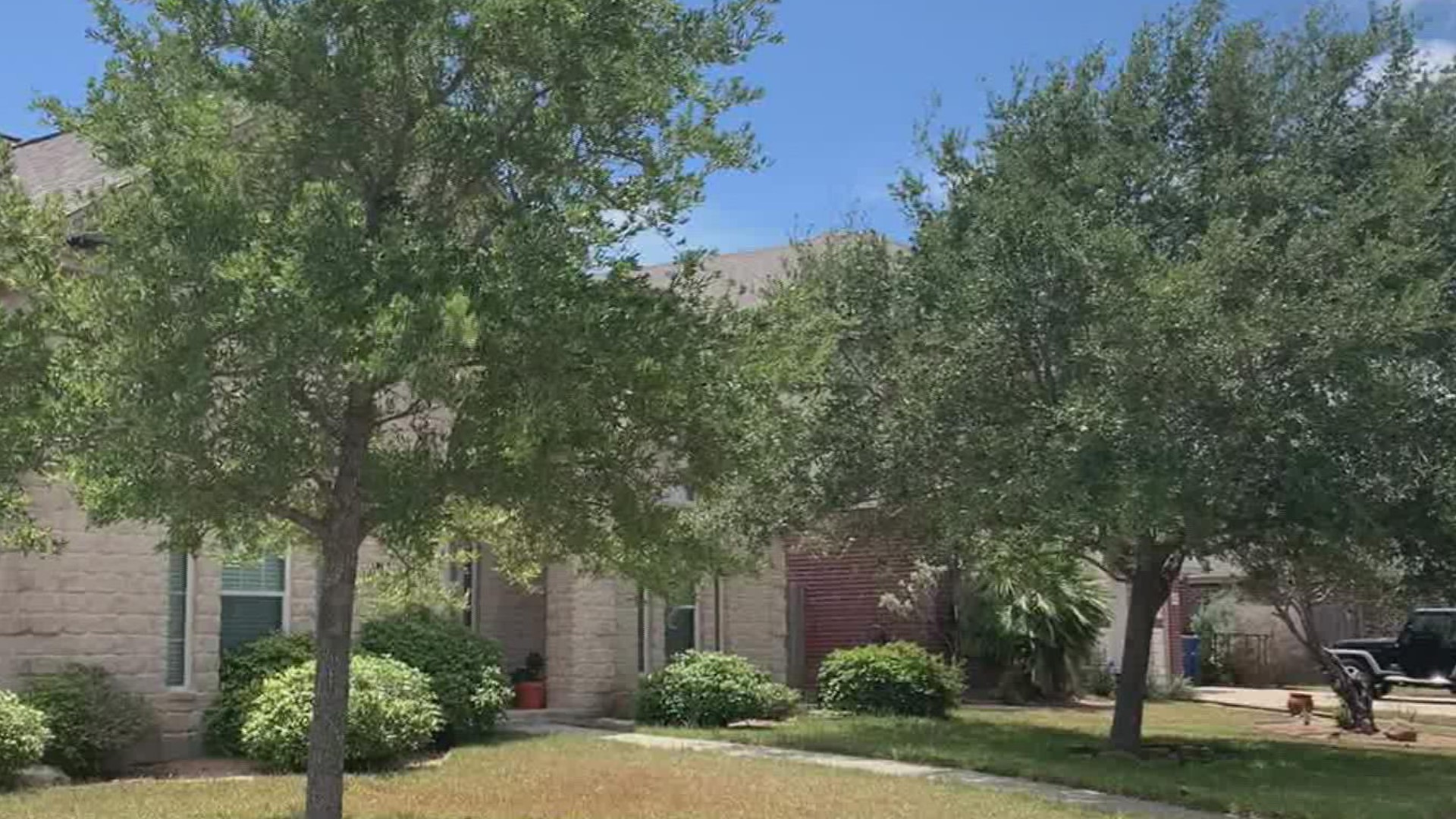 City of Corpus Christi halts tree planting project | kiiitv.com