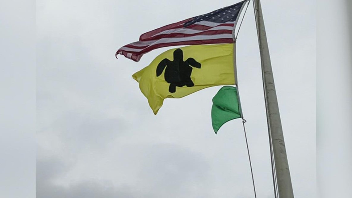 Arribada turtle flag flies high over Texas beaches | kiiitv.com