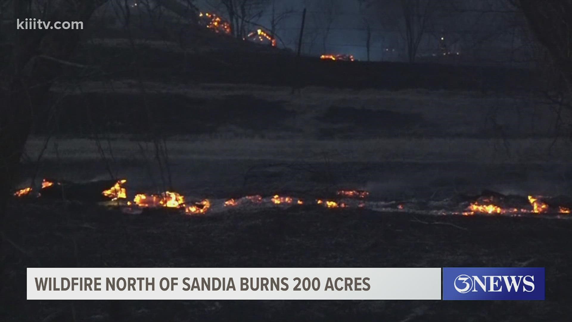 Major fire north of Sandia burns around 200 acres of land | kiiitv.com