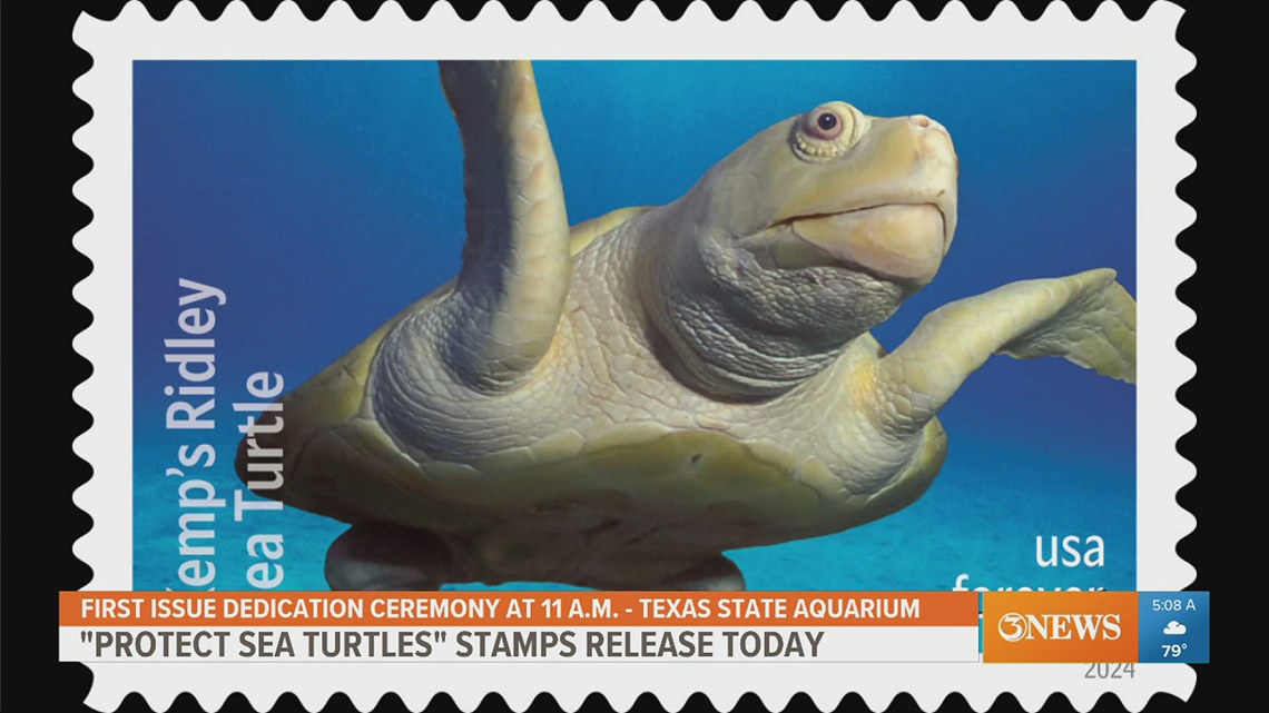 Texas State Aquarium 'Protect Sea Turtles' stamps released day | kiiitv.com