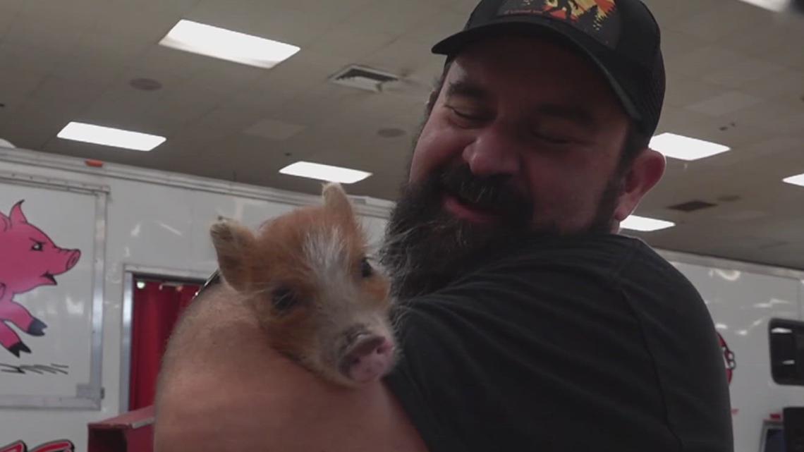 Swifty Swine Pig Races thrill at Buc Days | kiiitv.com