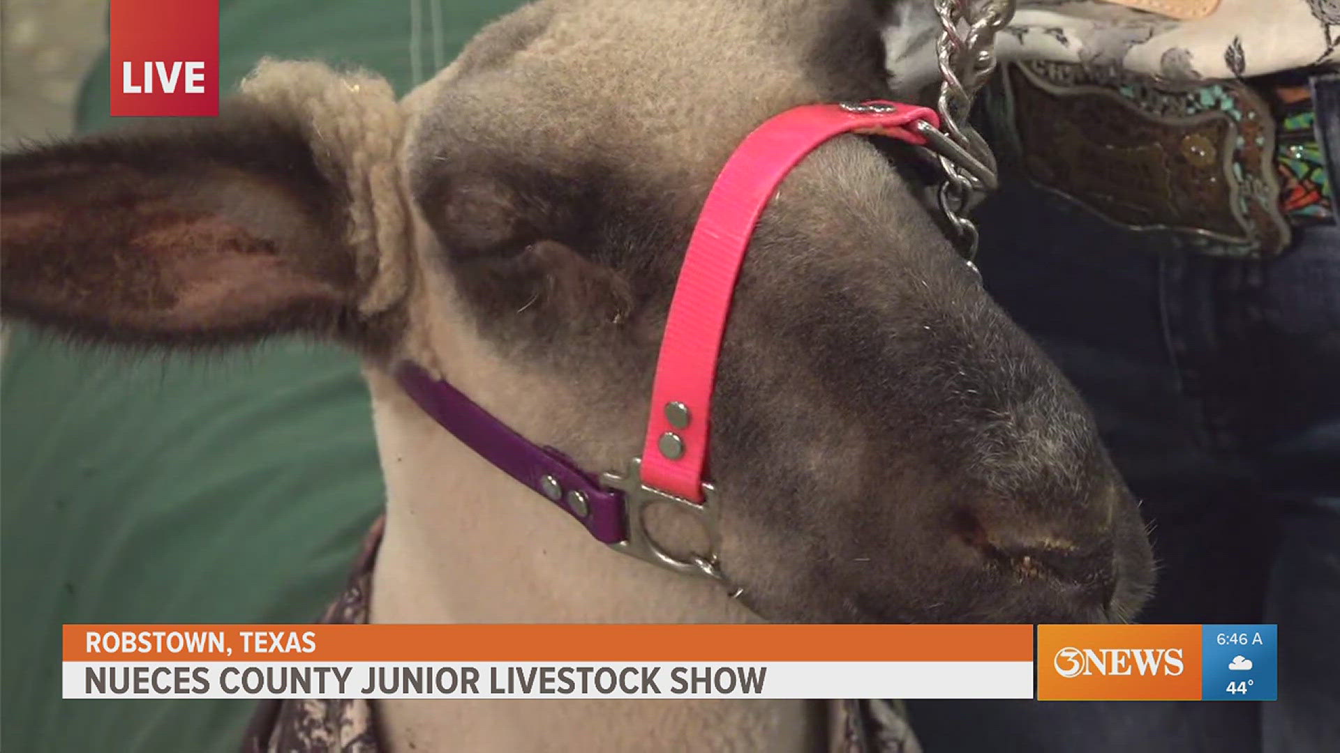 FBI searches home of Washington Post reporter in classified documents ...