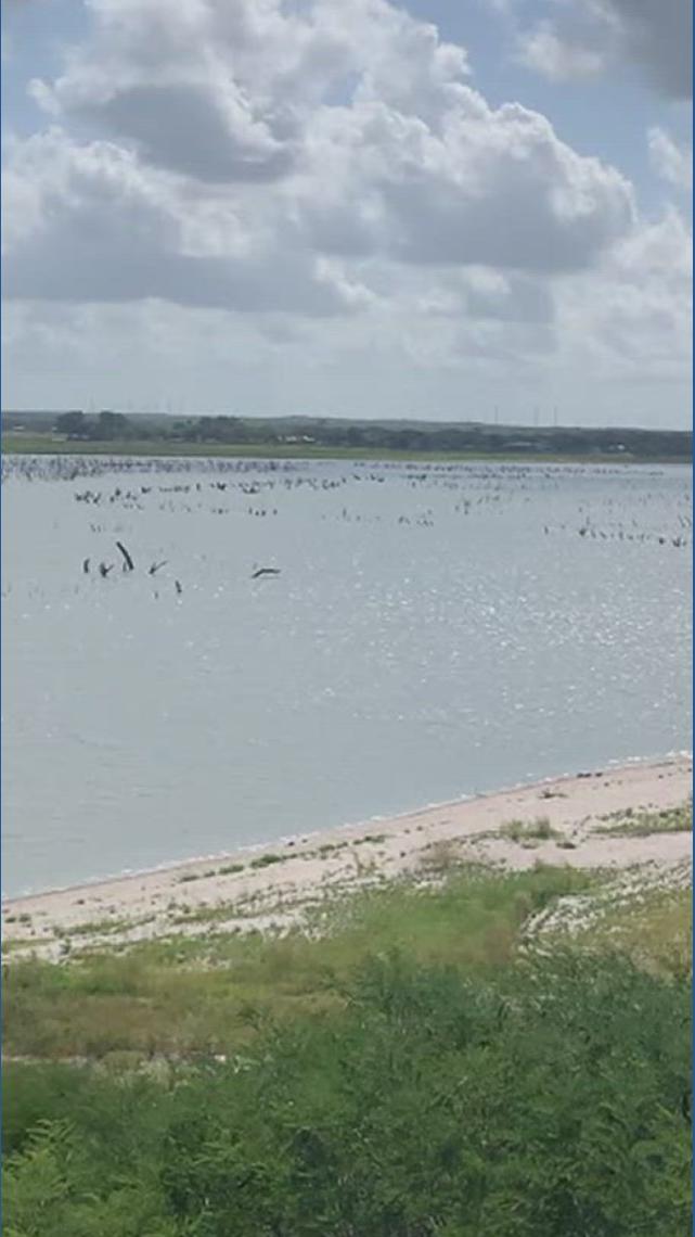 Lake levels for Corpus Christi drop at 'concerning rate' | kiiitv.com