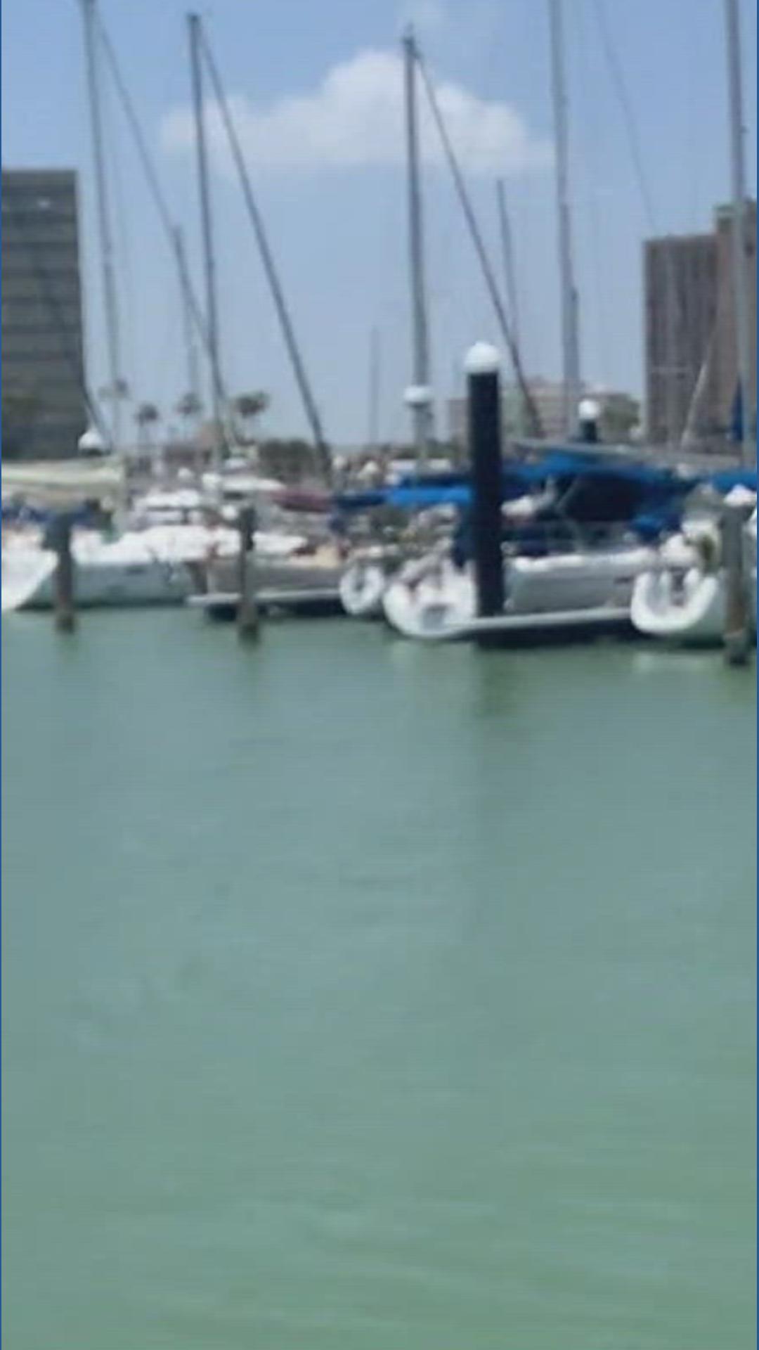 Boating industry urges policy change as Corpus Christi considers water ...