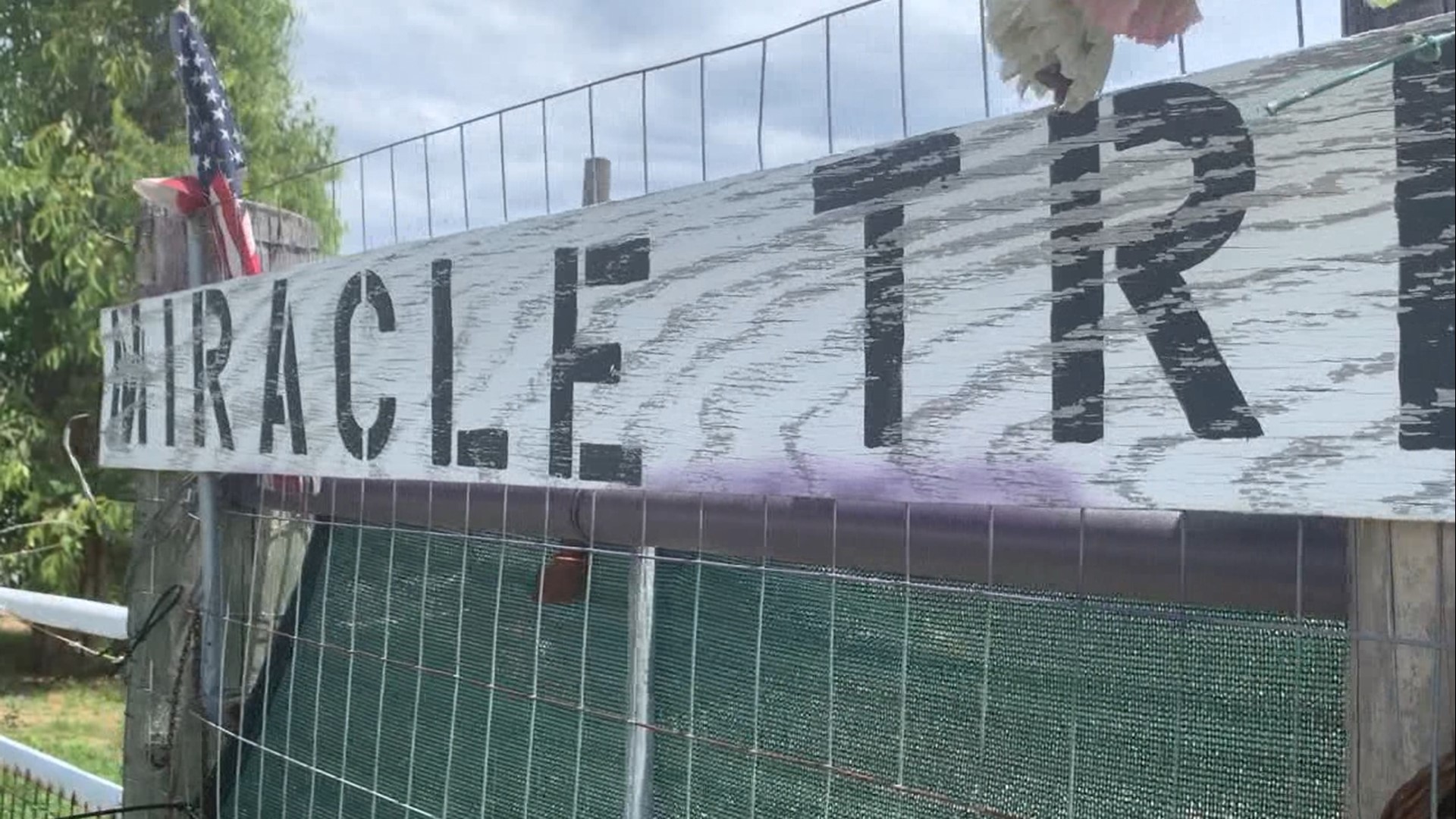 South Texas Miracle Healing Tree | kiiitv.com