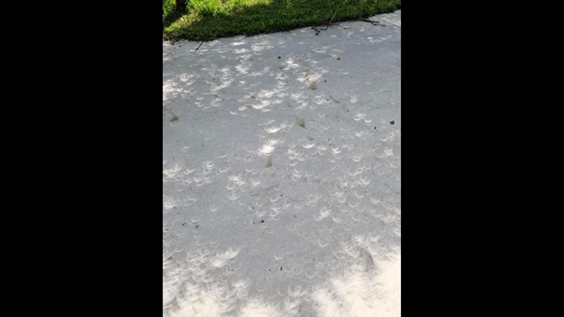 PHOTOS: Despite clouds, solar eclipse 'ring of fire' wows Corpus ...