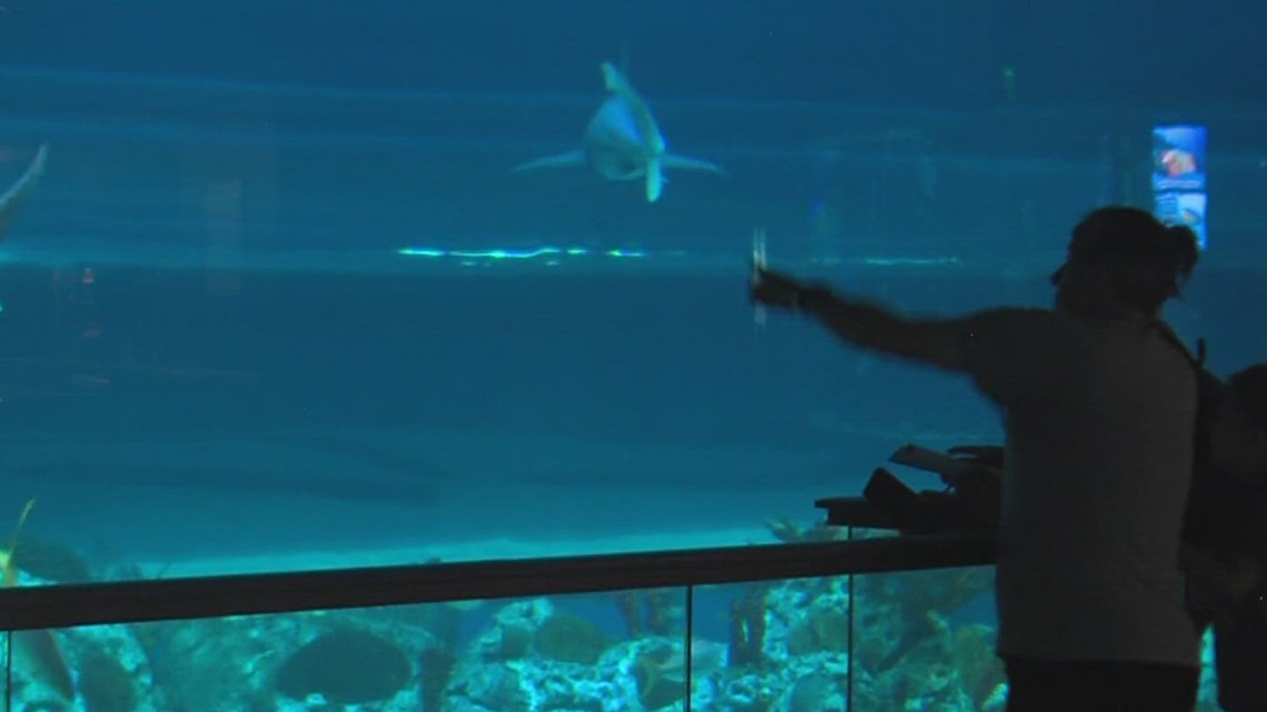 Aquarium announces extended Spring Break hours | kiiitv.com