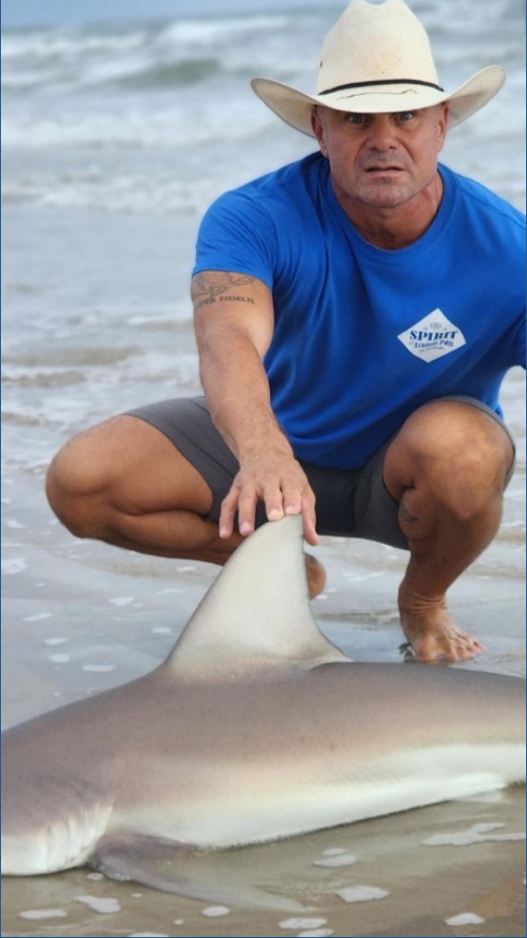 Jaws turns 50: Catching up with a local shark catcher | kiiitv.com