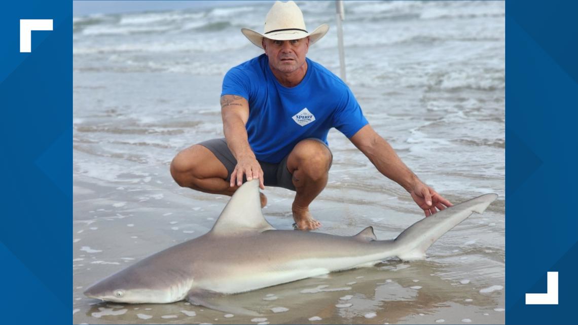 Chlorine gas release at Olin Unit in Plant B in Freeport, Texas ...