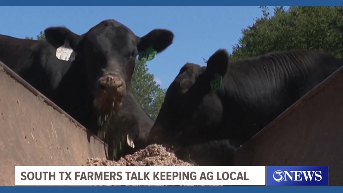 Growing concern for U.S. cattle ranchers with Argentinian beef deal on ...