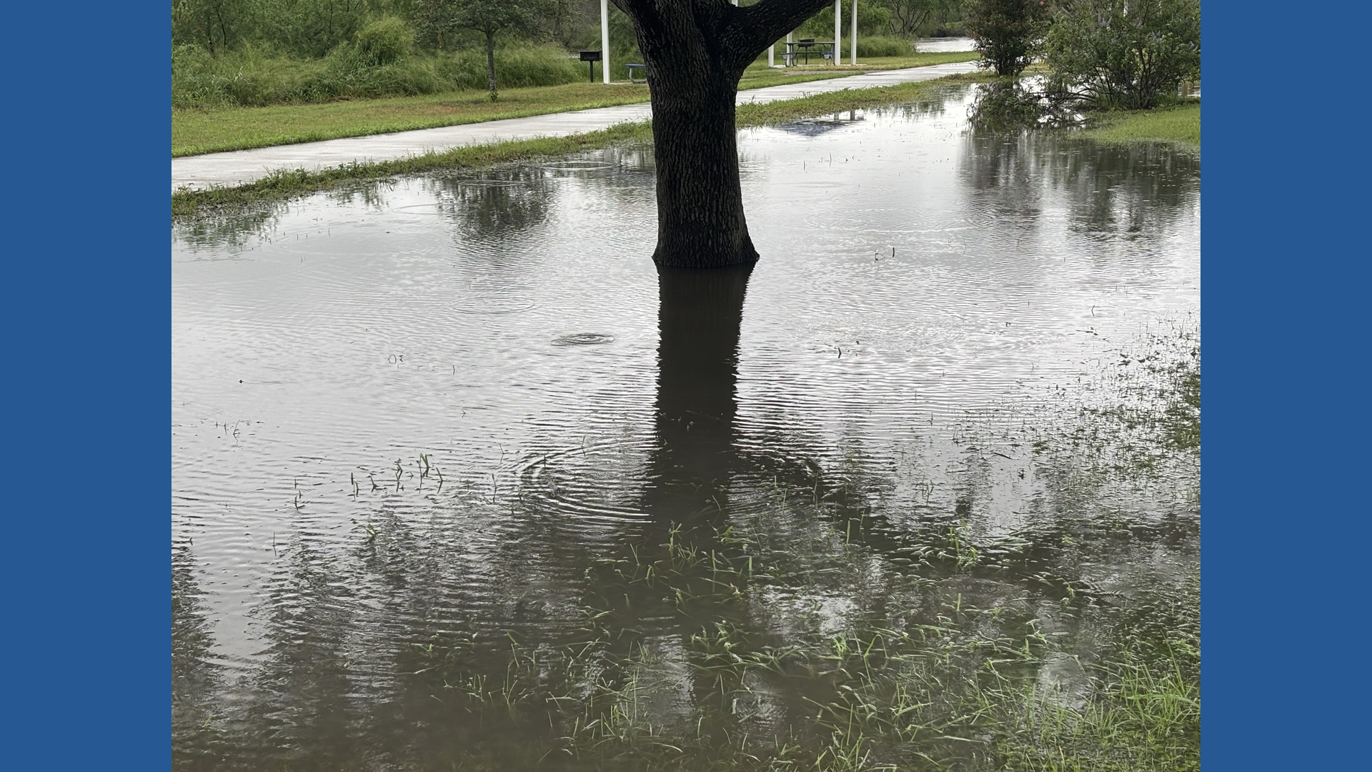 Road closures, flooding reported across coastal Bend amid heavy rain ...