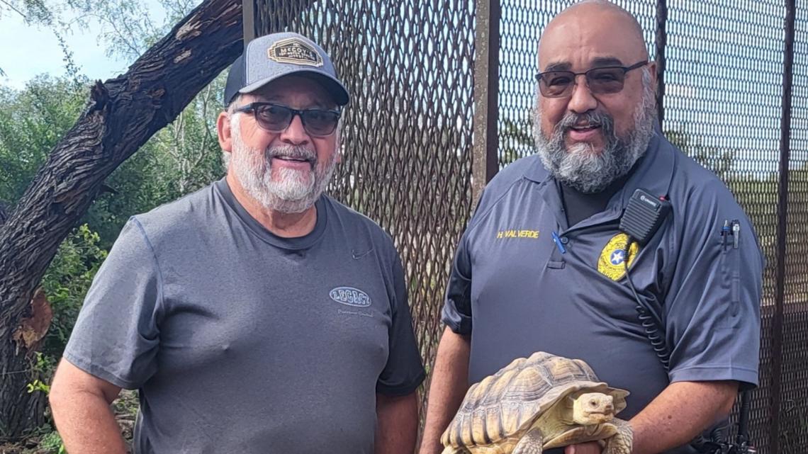 Cancer patient reunited with missing tortoise | kiiitv.com