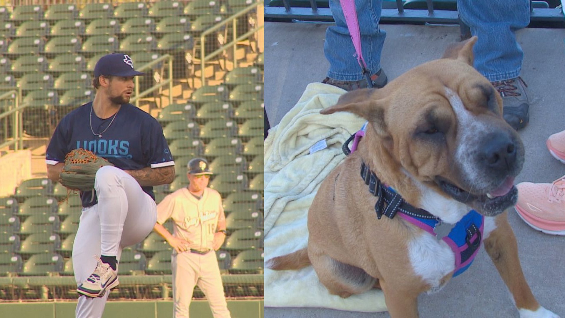 Corpus Christi Hooks Baseball News | kiiitv.com