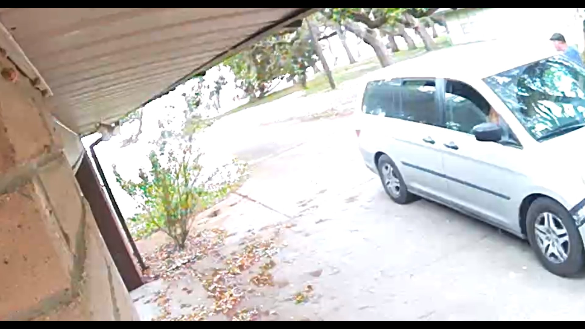 Ingleside PD searching for man accused of dumping, beating dogs ...