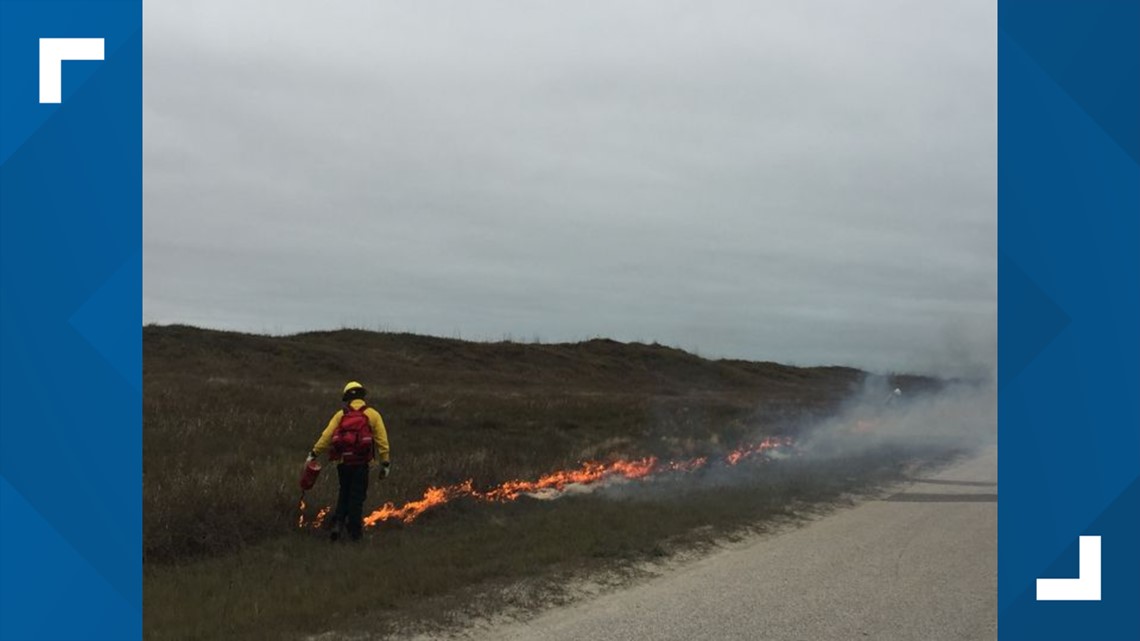 Prescribed burn on Mustang Island | kiiitv.com