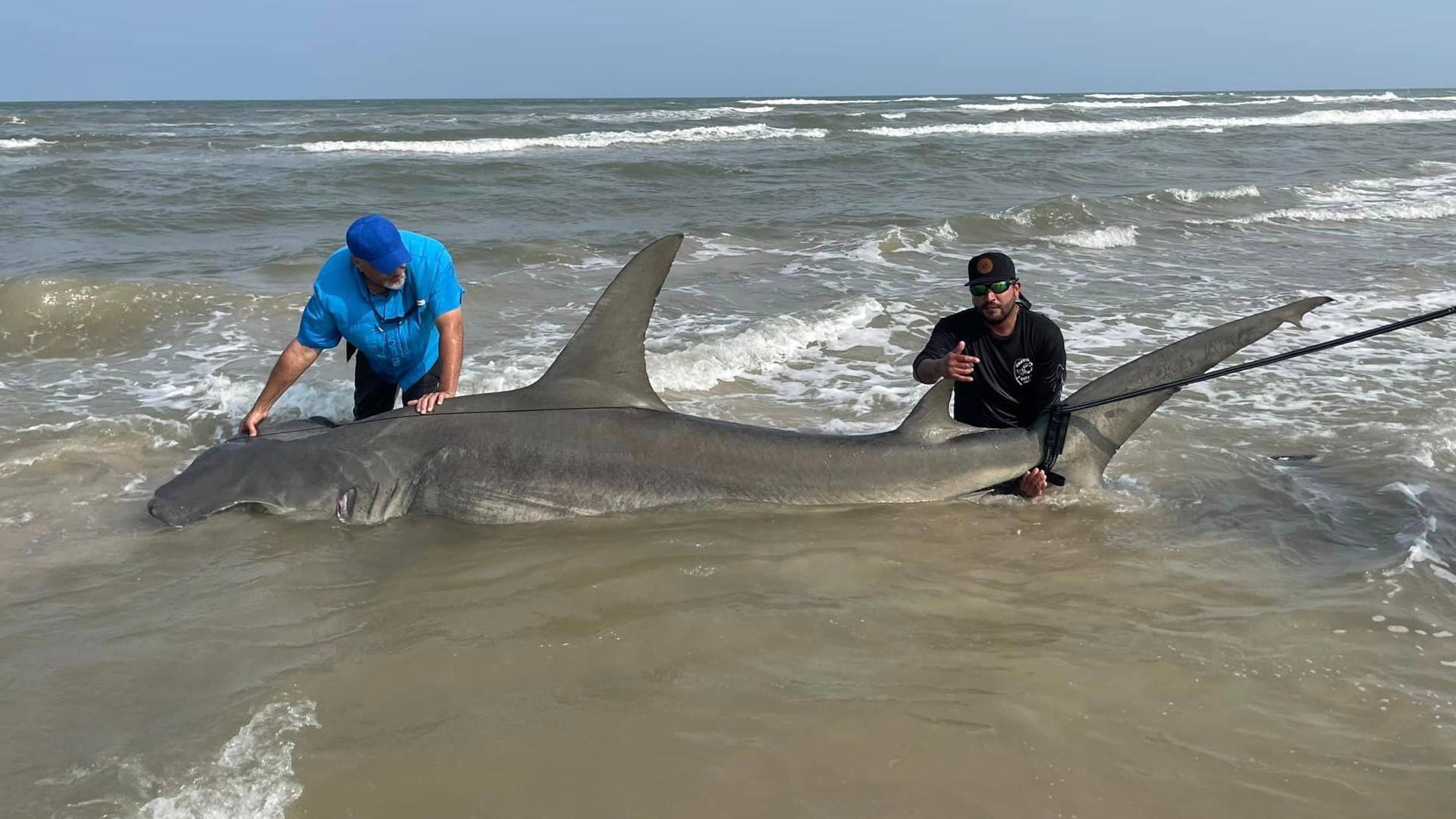 Massive shark caught off Texas coast | kiiitv.com
