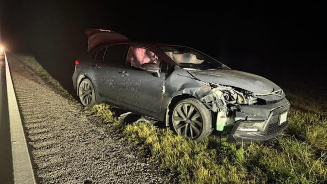 Deer collision damages car on FM 70 | kiiitv.com