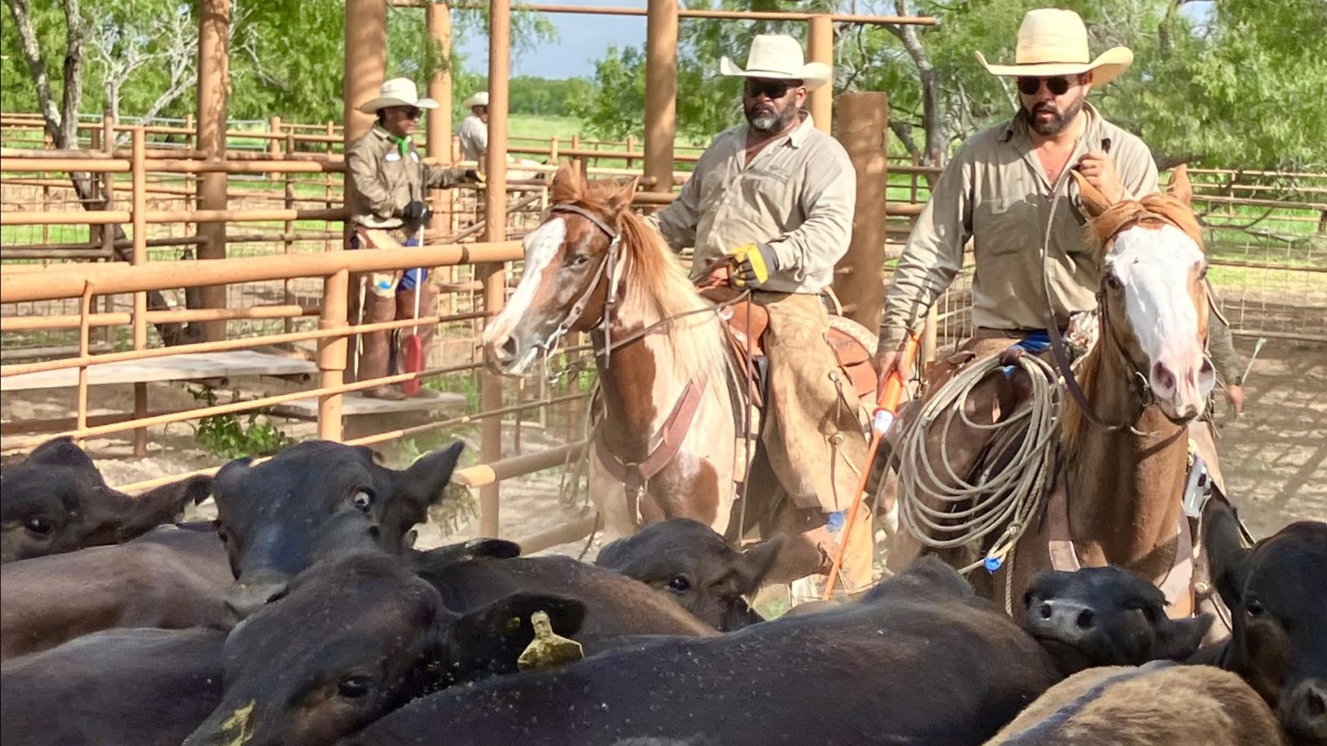 Wyatt Ranches, The Wyatt Ranches Foundation donates over $617,000 ...