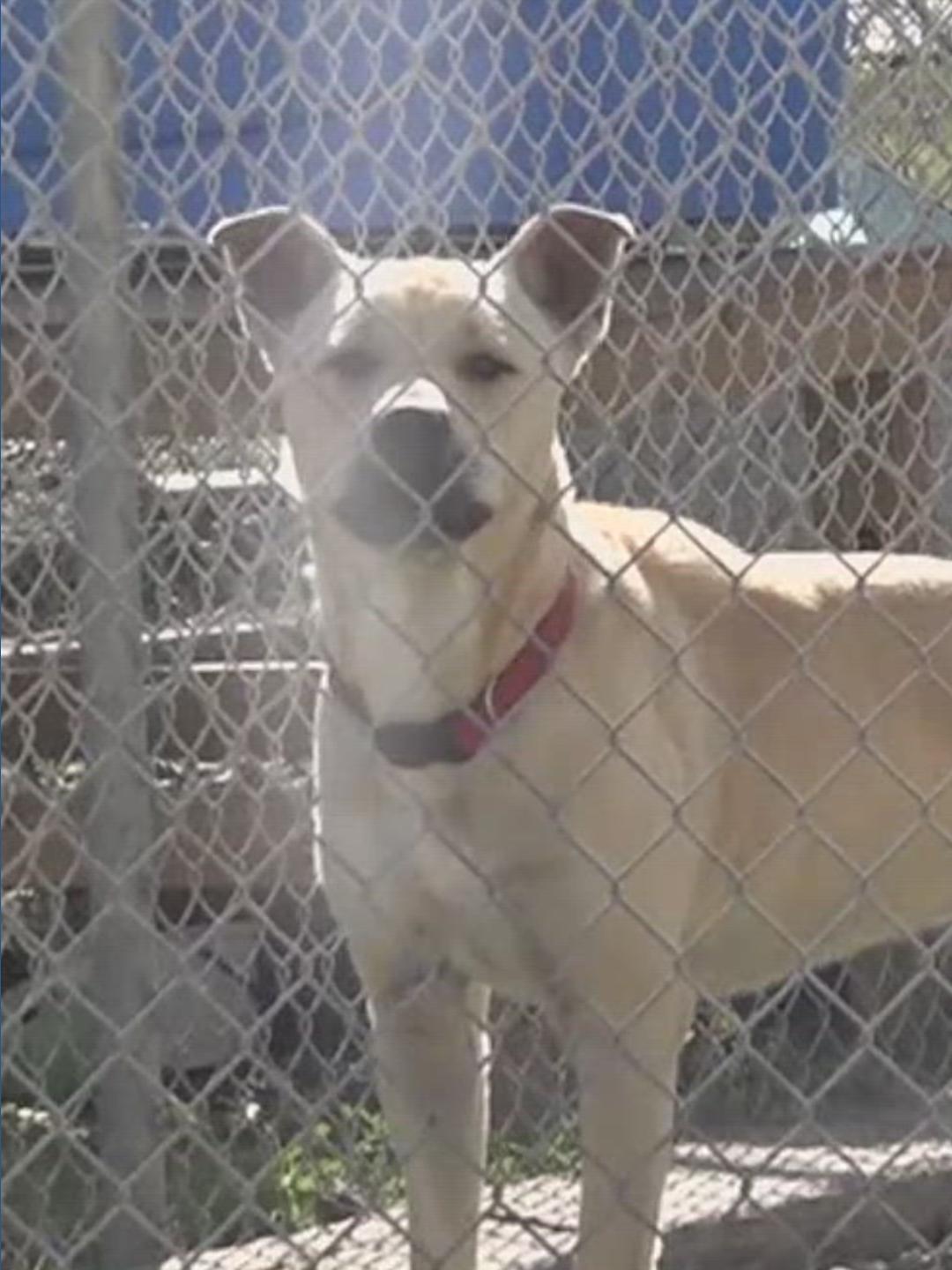 Second suspect pleads guilty to killings of New Hampshire couple ...