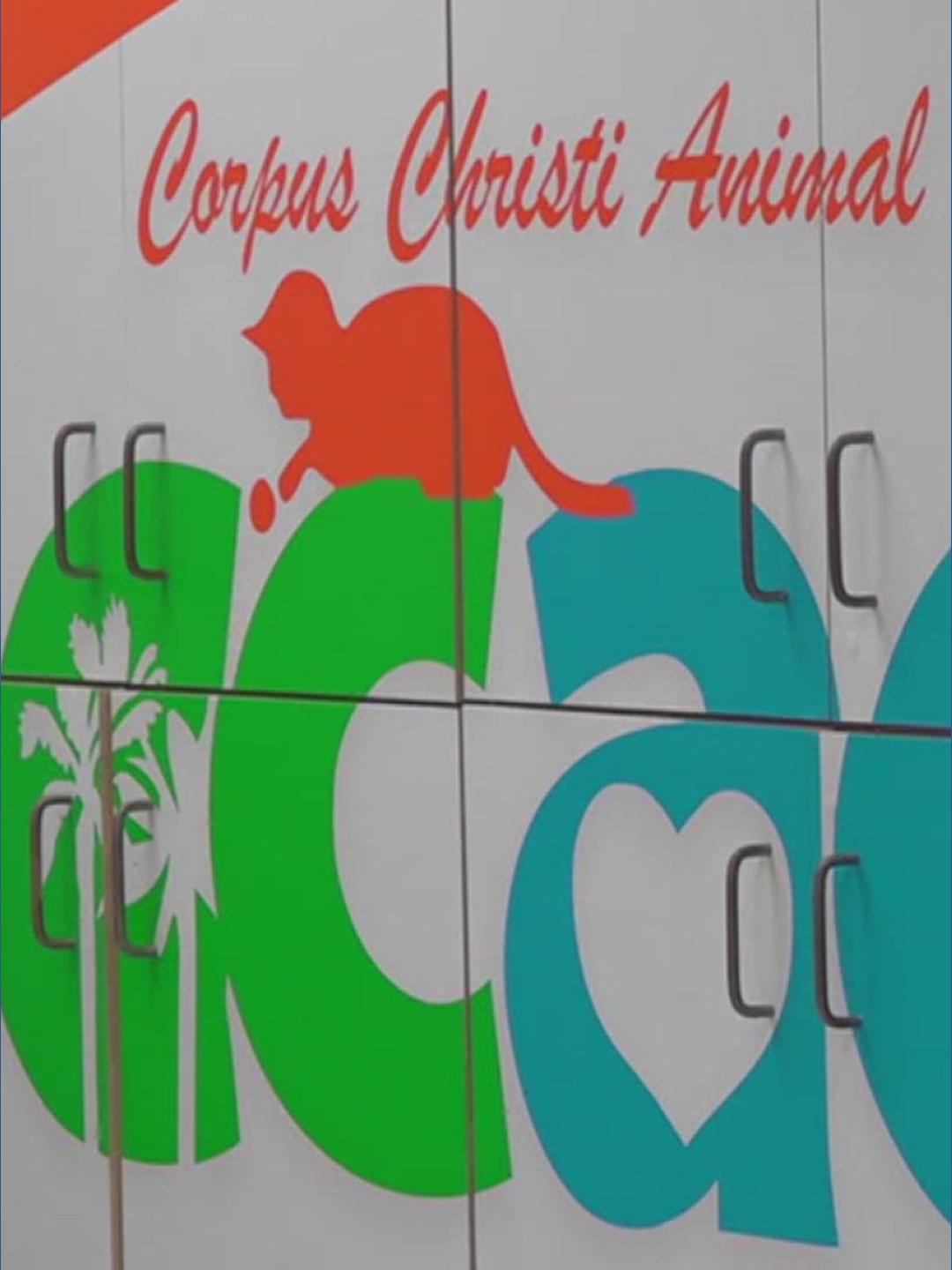Corpus Christi Animal Care Services’ changes hours of operation next ...