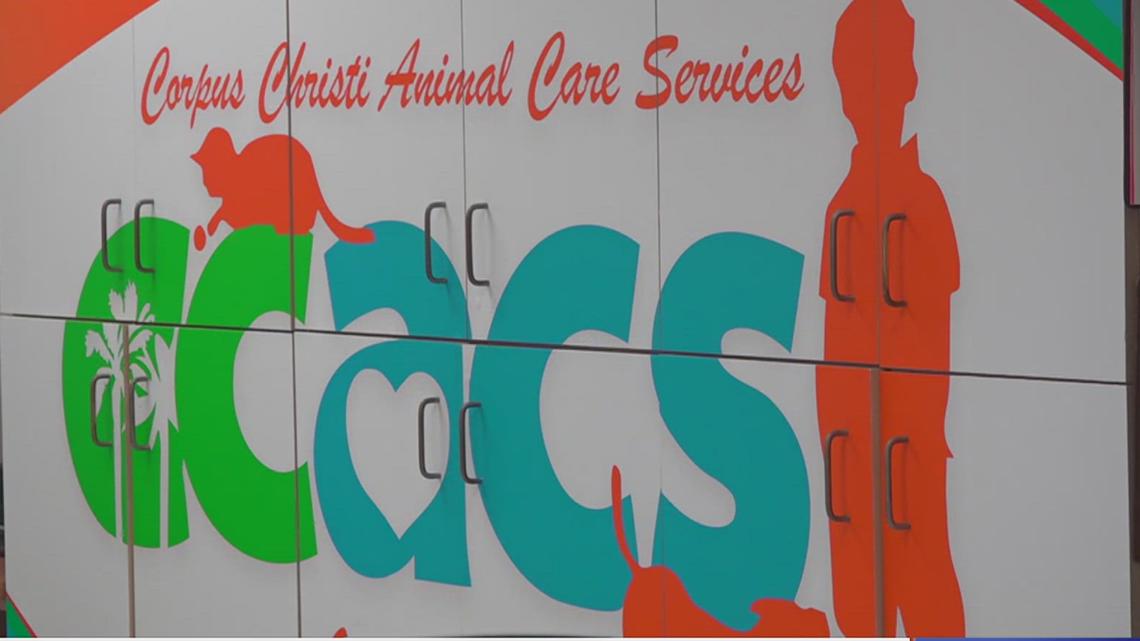 Corpus Christi Animal Care Services’ changes hours of operation next ...
