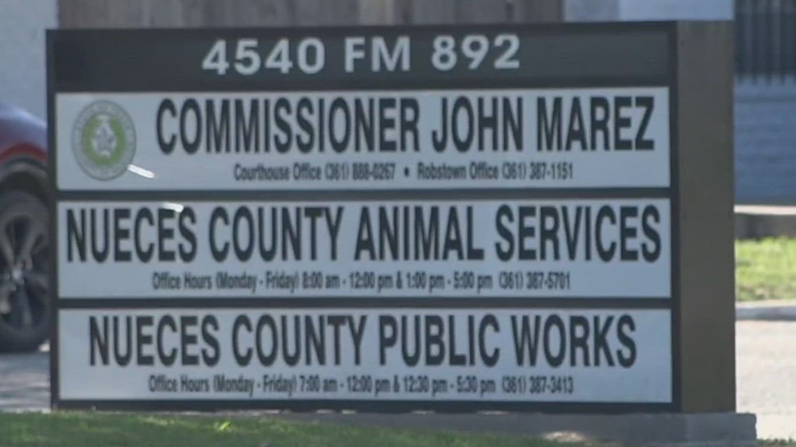 Nueces County Animal Control director reassigned following ...