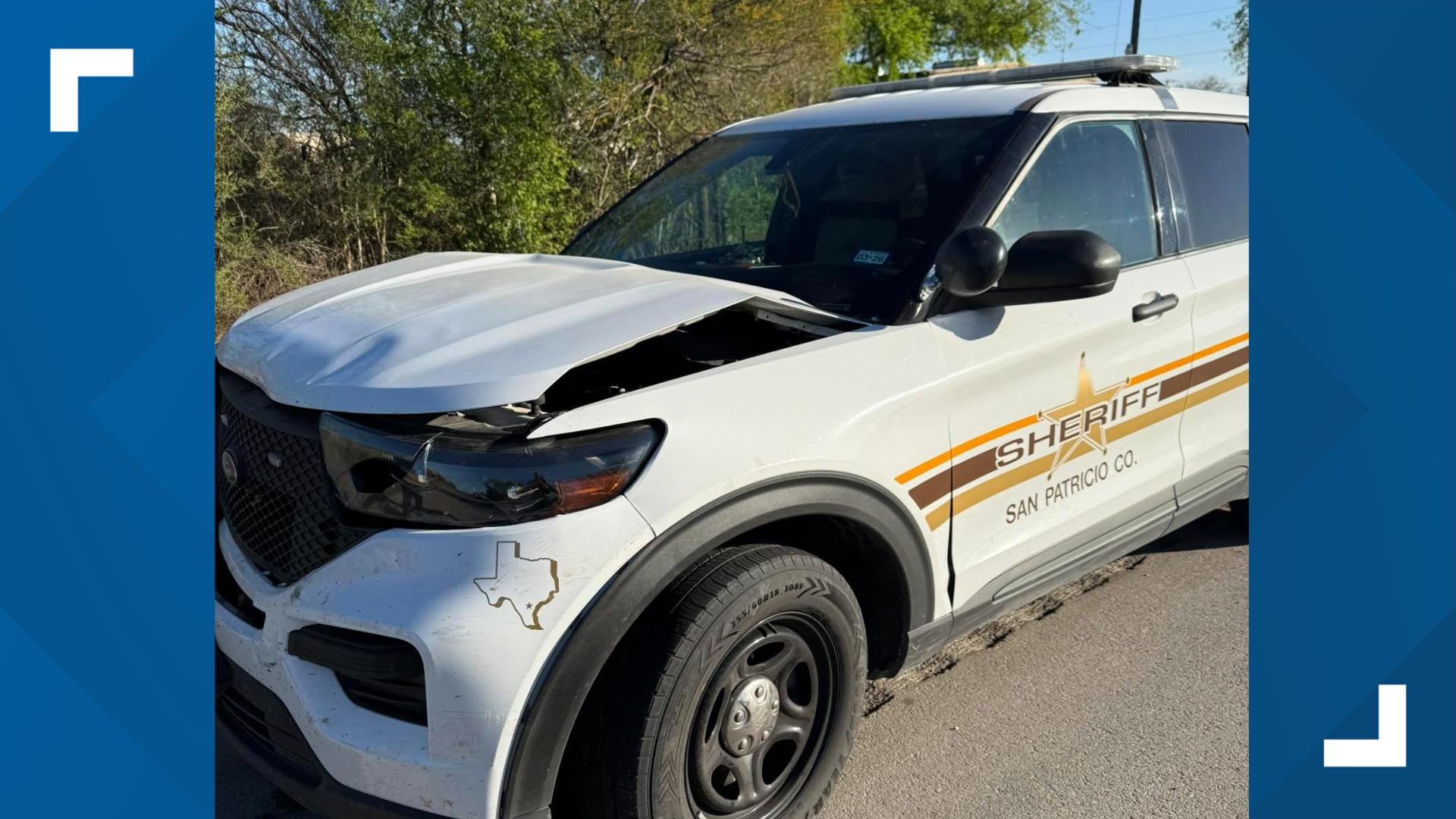 Man identified in rollover crash in Kingsville | kiiitv.com