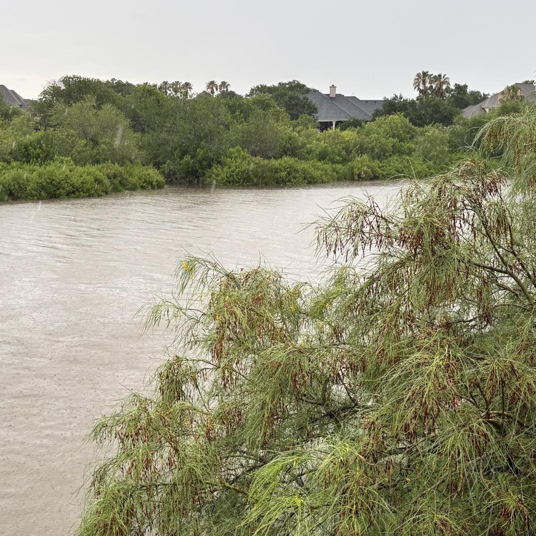 Lake Corpus Christi, Choke Canyon water levels up after rain, city says ...