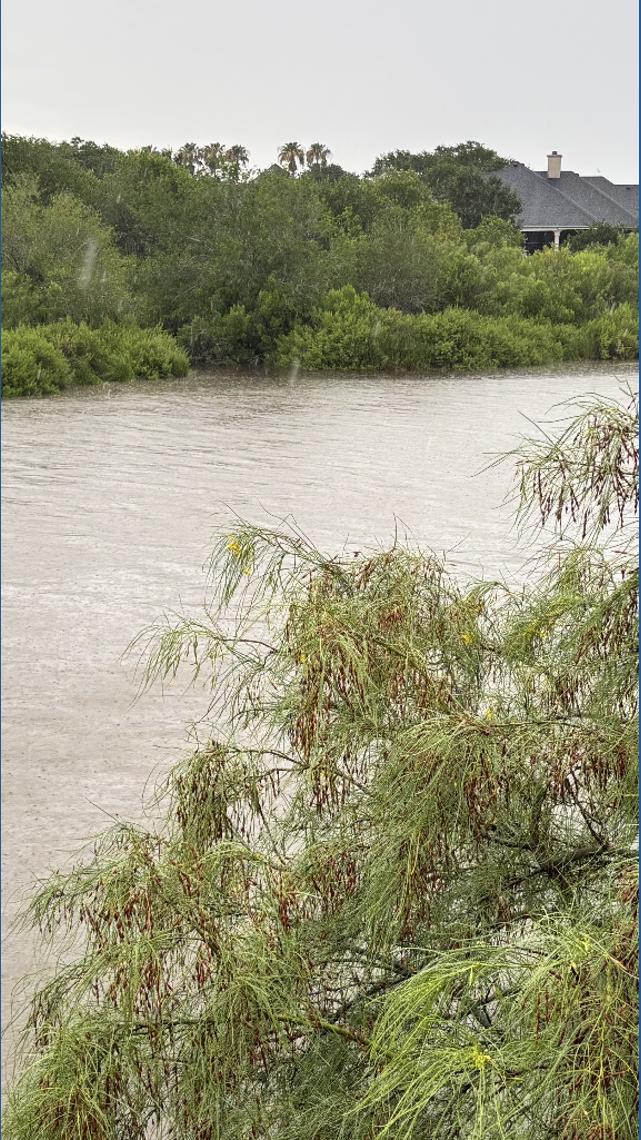 Lake Corpus Christi, Choke Canyon water levels up after rain, city says ...