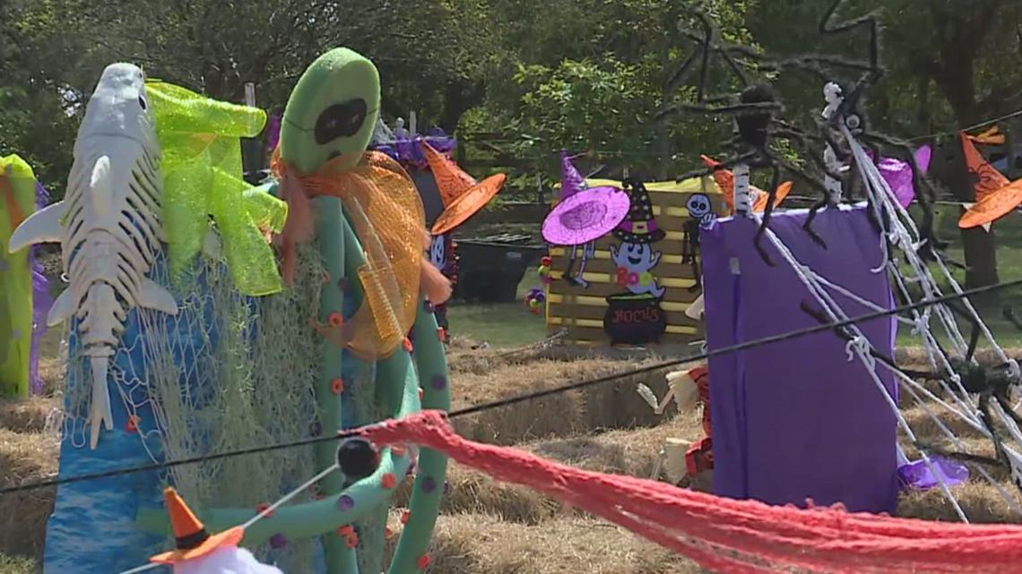 Explore the 'Hay-Mazing' Adventure at South Texas Botanical Gardens ...