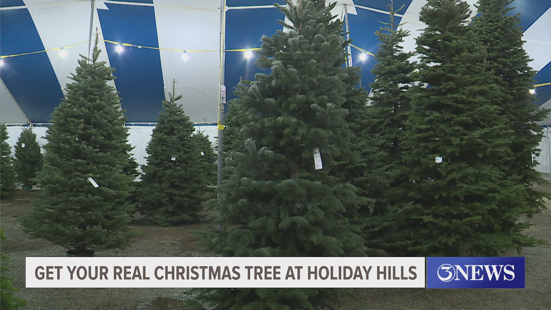 Here's why everyone's talking about a 'K-shaped' economy | kiiitv.com