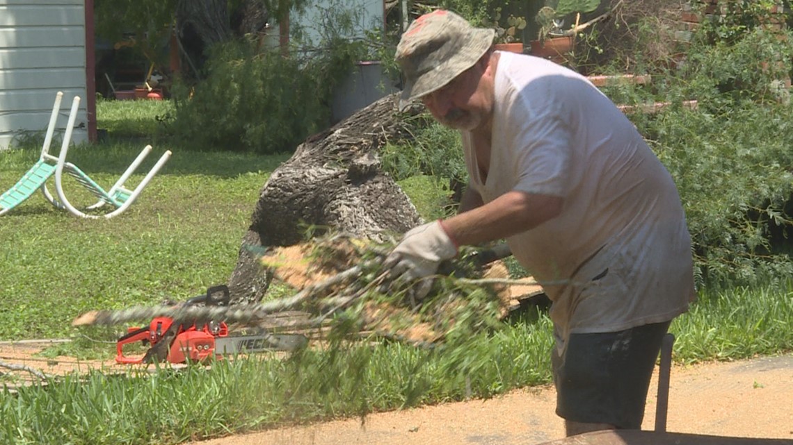 City of Kingsville provides brush drop off locations following ...