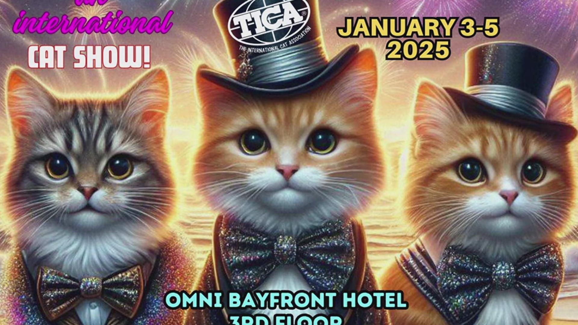 Weekend Guide: First Friday of 2025, BFF Sundays and an international ...