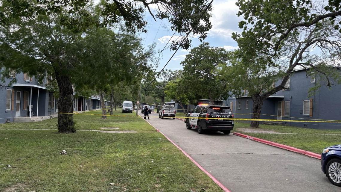 UPDATE: Kinsolving Court stabbing victim was a woman | kiiitv.com