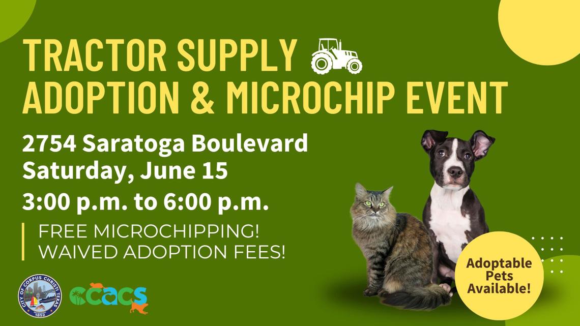 Corpus Christi Animal Care Services offer free microchip event Saturday ...
