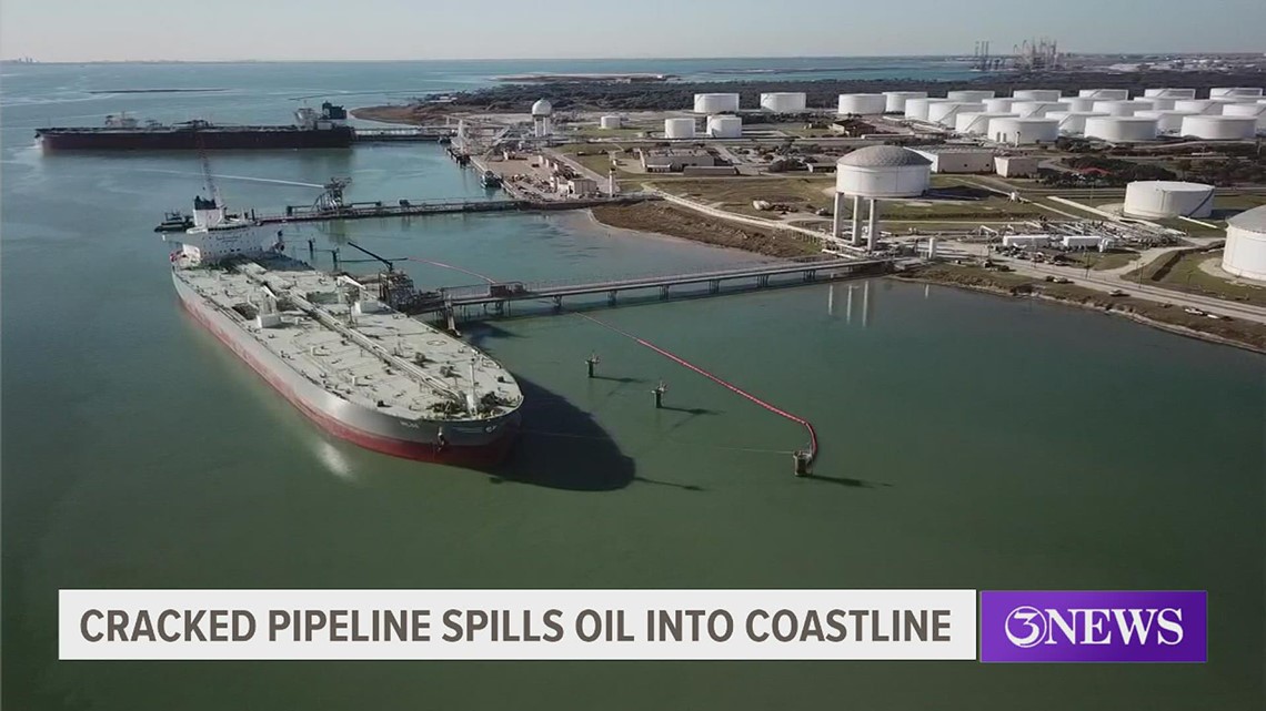 Corpus Christi brush and bulky item pickup | kiiitv.com