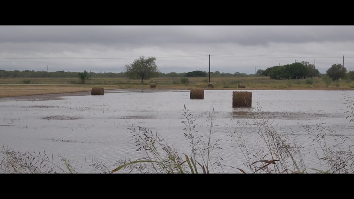City of Premont eagerly plans for drainage, flood improvements | kiiitv.com