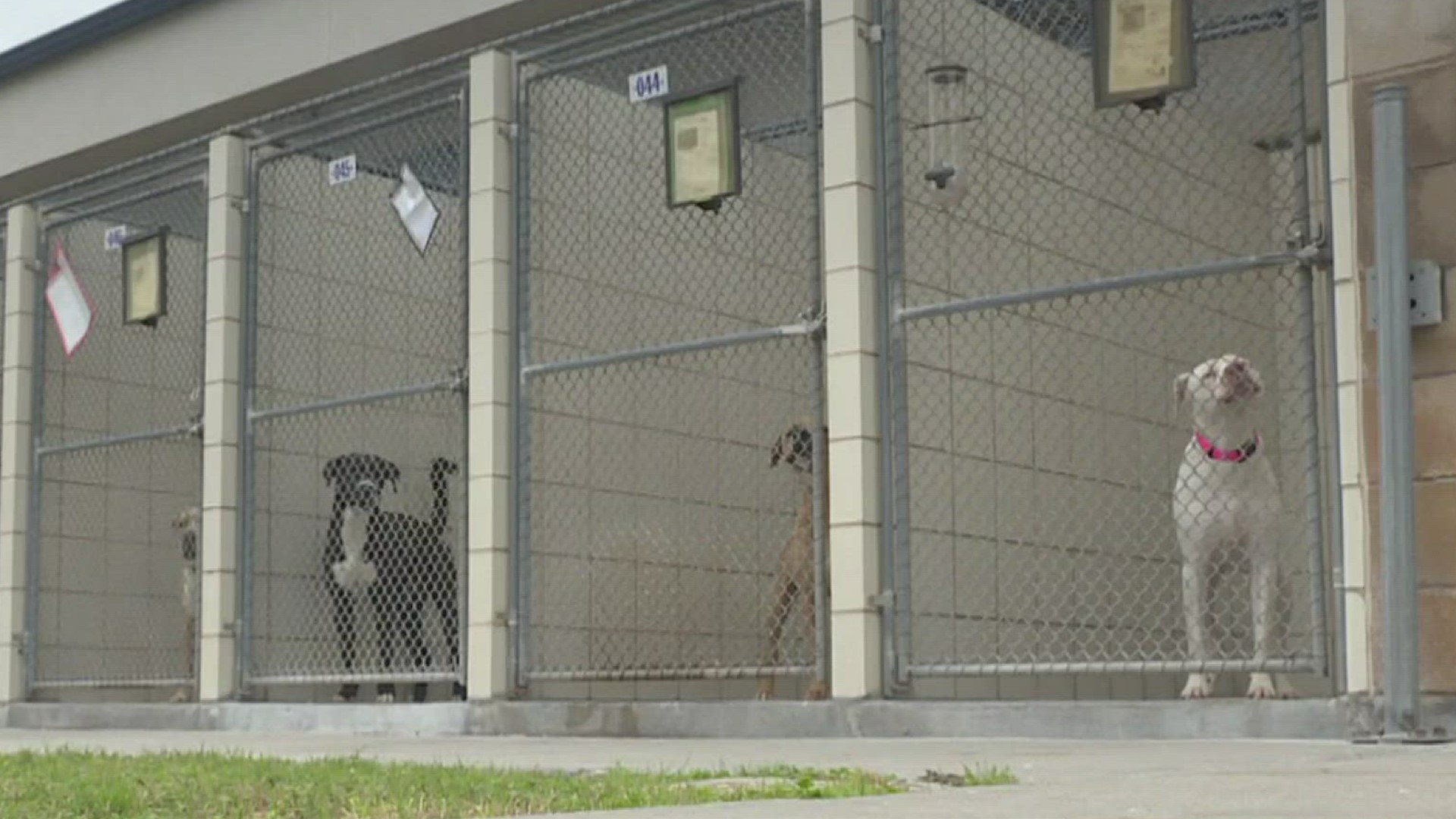 The latest update to 'length of stay' ordinance | kiiitv.com