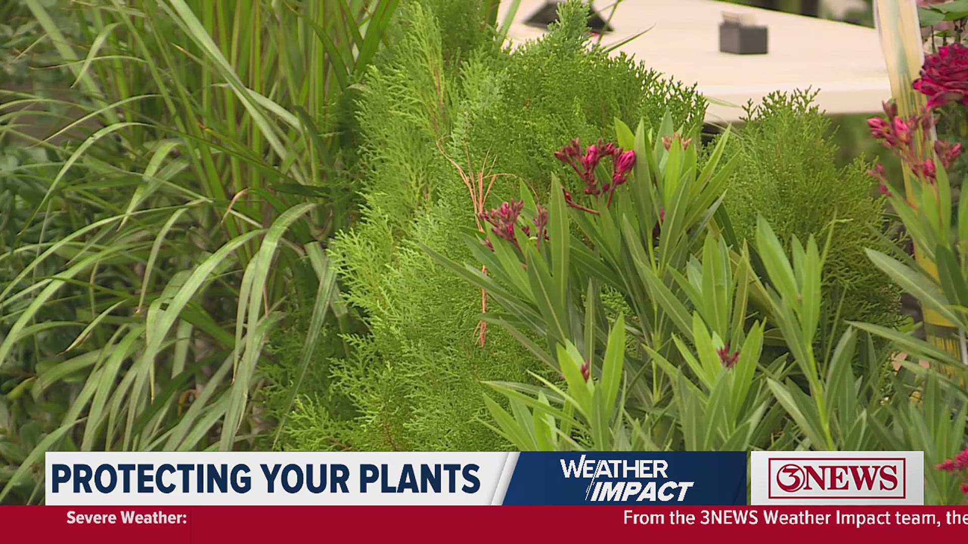 McDavid scores in OT, Bouchard nets hat trick as Oilers edge Capitals 6 ...