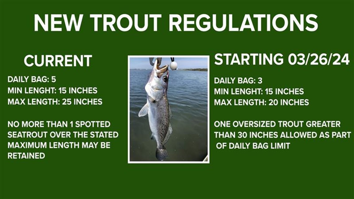 Trout regulation bag limits to decrease after this weekend | kiiitv.com