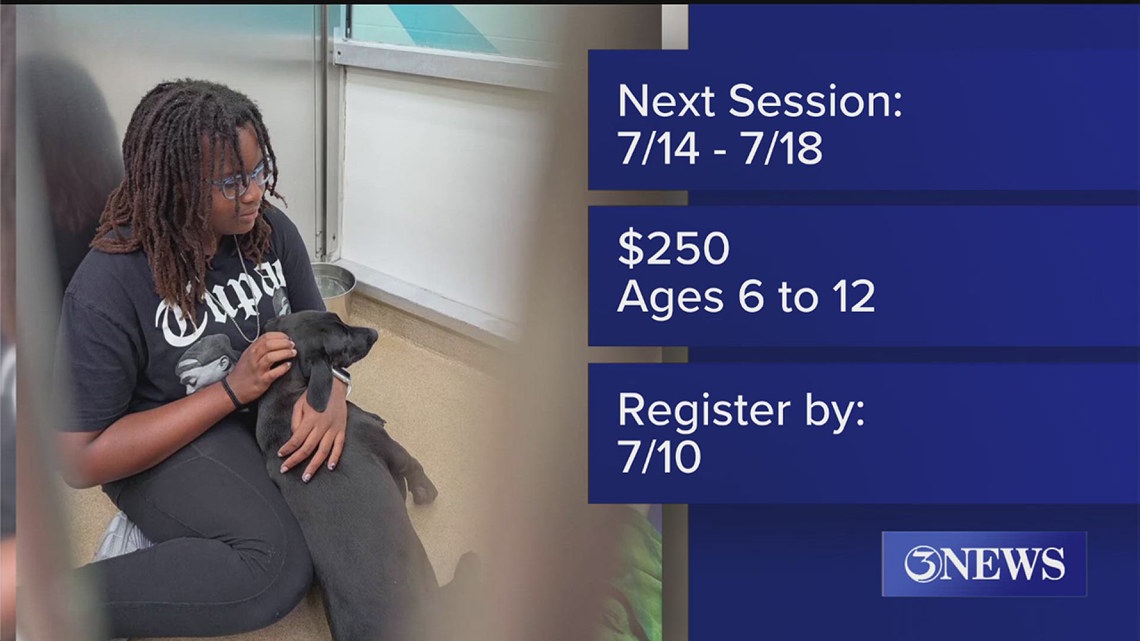 Fatal golf cart accident in Port Aransas leaves local woman dead | kiiitv.com