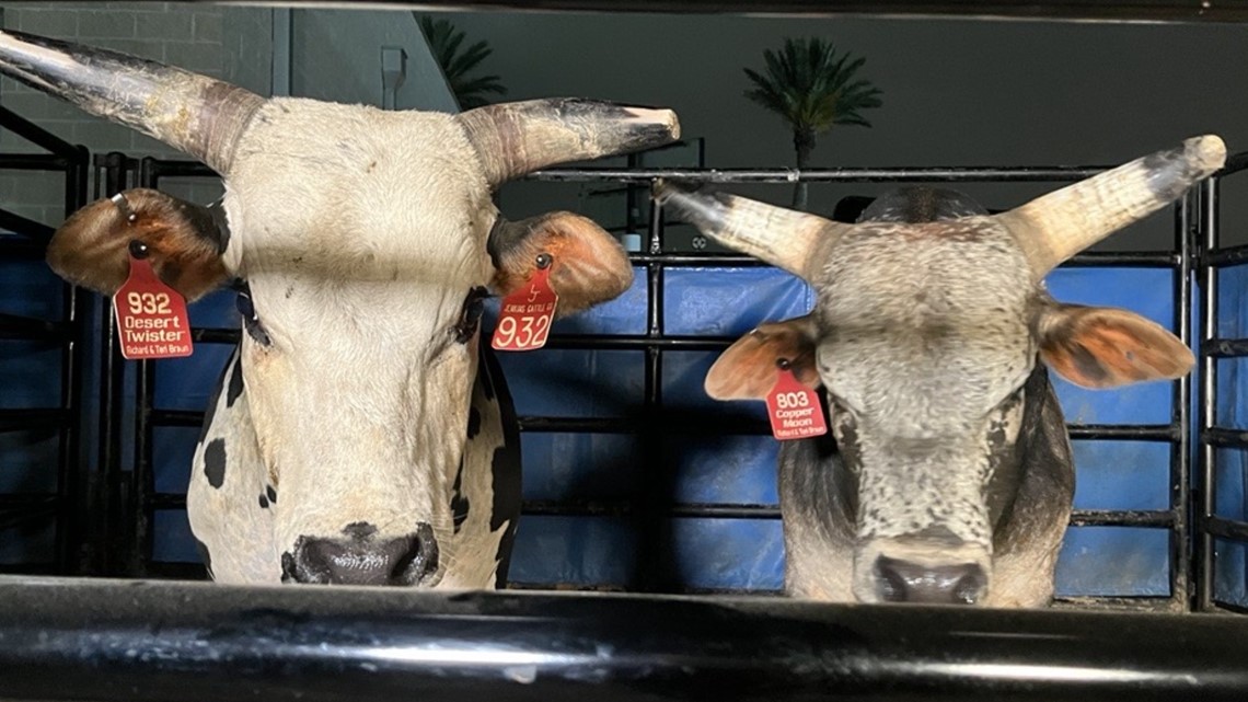 PBR Velocity Tour at Buc Days Rodeo | kiiitv.com