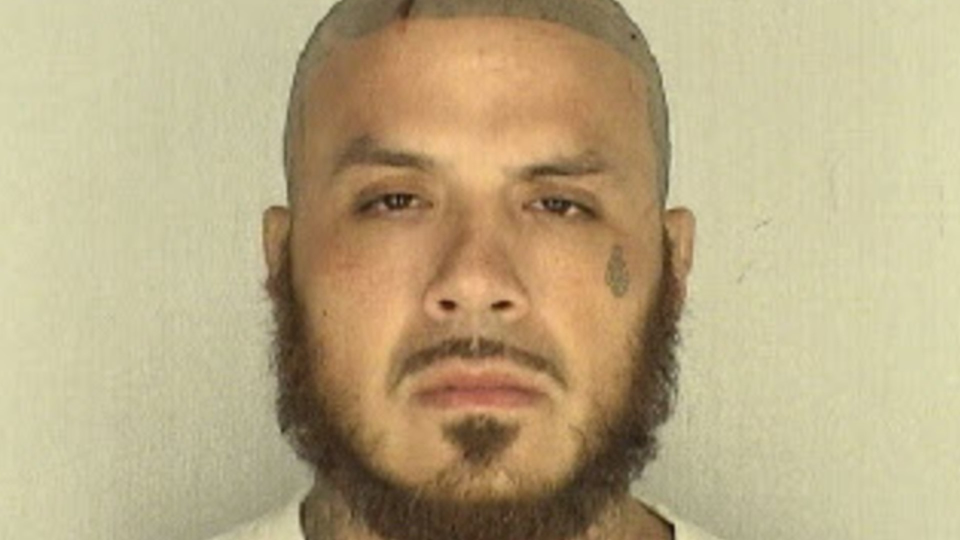 Man found dead on Williams Dr. in Corpus Christi | kiiitv.com