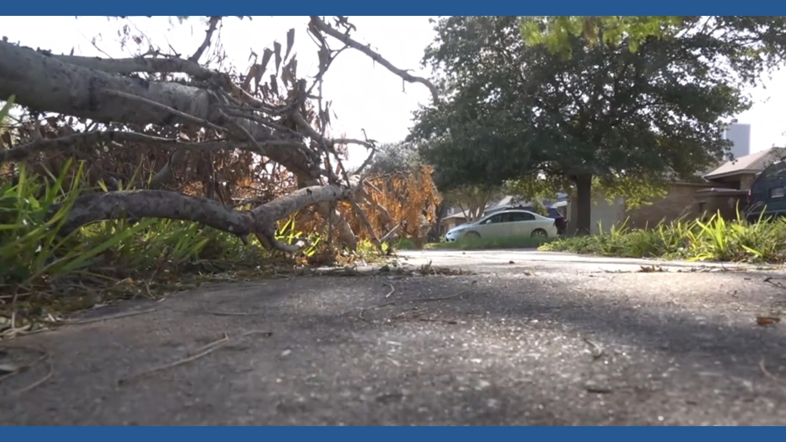 Gregory reminds residents to trim trees and clear properties ahead of ...