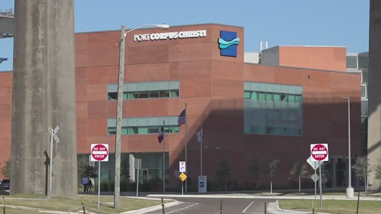 Sinton fire officials respond to large grass fire | kiiitv.com