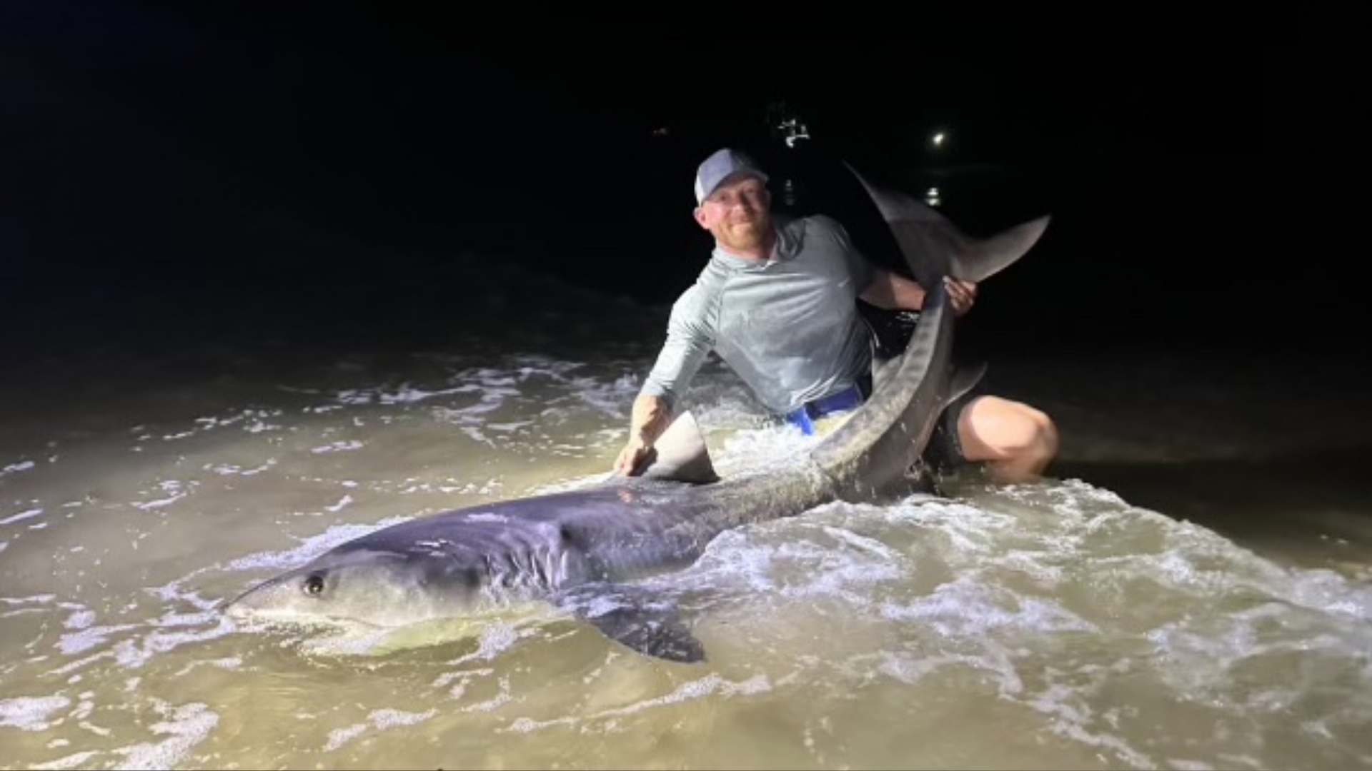 Texas angler catches, releases giant shark in Corpus Christi | kiiitv.com
