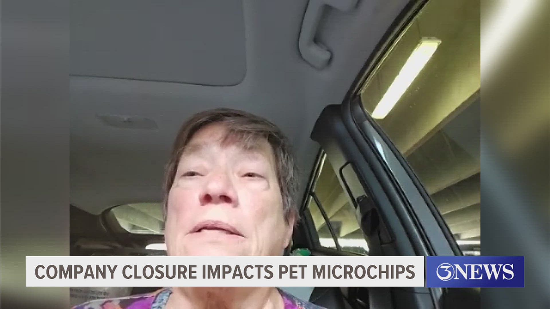 Microchip company goes busts leaving some Portland pet owners out of ...