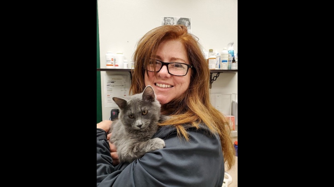 Outgoing city veterinarian Melissa Draper joins PAAC amid expansion ...