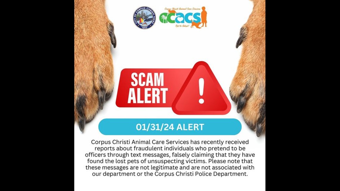 Animal Care Services warns of texting scam | kiiitv.com